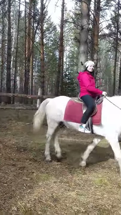 Конные маршруты. Переезжаем на летнюю базу. Кк"Планета лошадей". Чёрная ...
