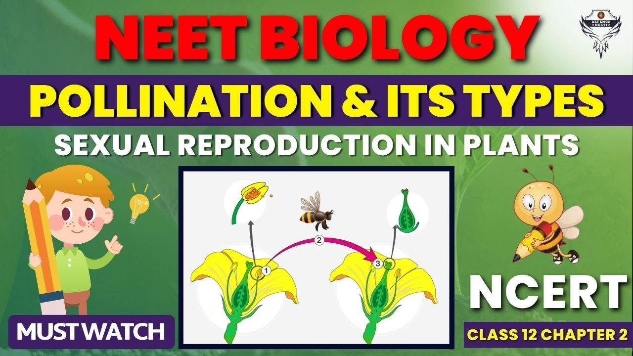 Pollination and Its Types | Sexual Reproduction in Plants | Class 12 ...