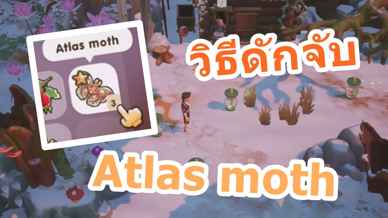 วิธีดักจับ Atlas moth ในเกมส์ coral Island - YouTube