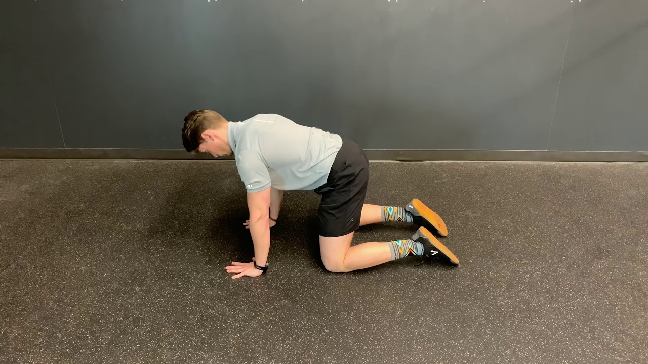 Scapular Retraction / Protraction - YouTube