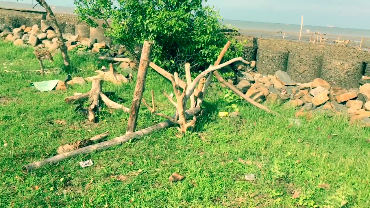 Berburu Cipluan - YouTube