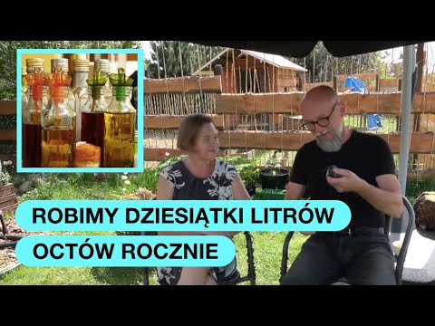 Po Co Tyle Octu? Robimy Około 200 Litrów Octów Rocznie - YouTube