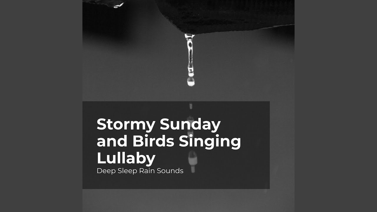 Be Drowsy in Rainfall - YouTube