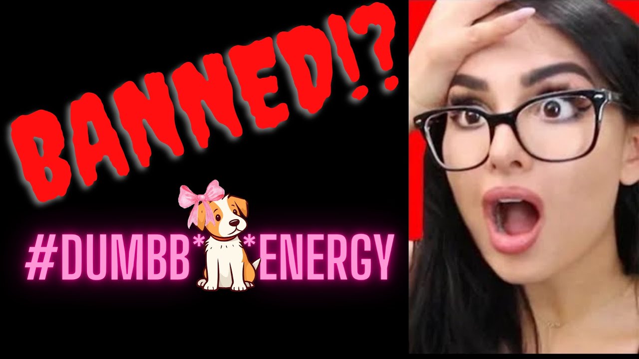 The Unbannable Sssniperwolf Drama Youtube