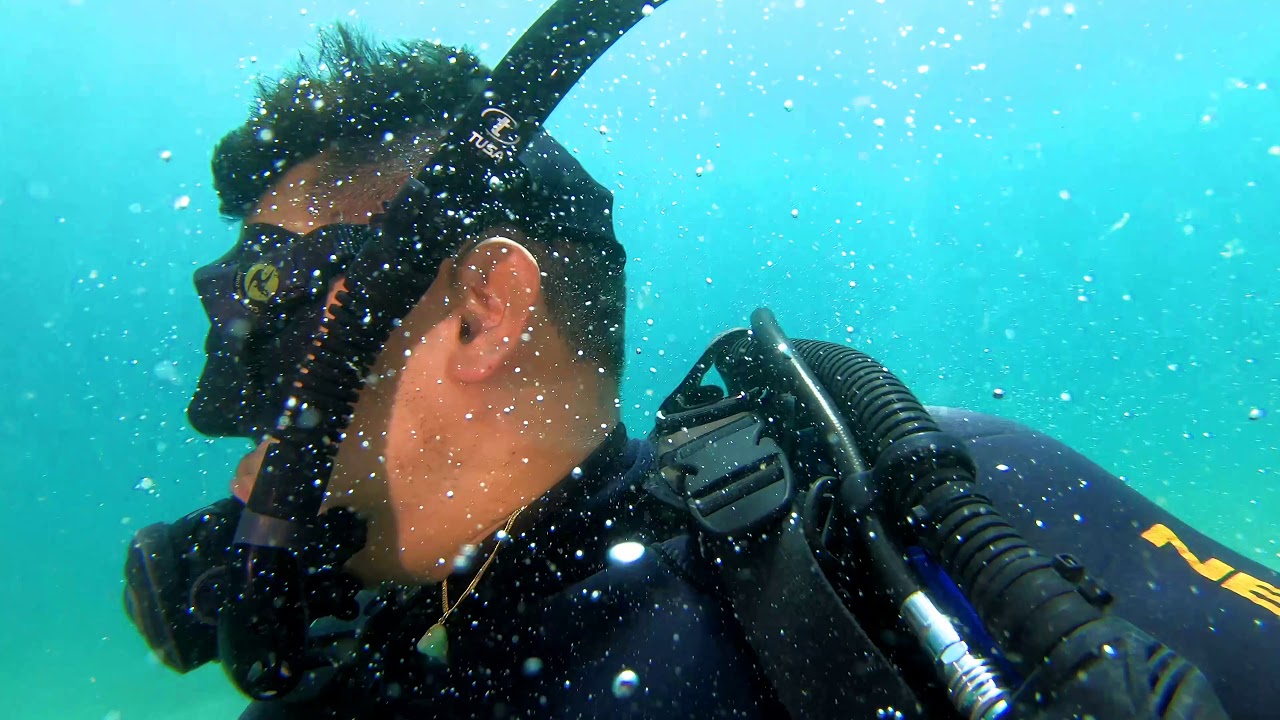 Shelly Beach Scuba Dive 2 - West Side (Fairy Bower) - YouTube