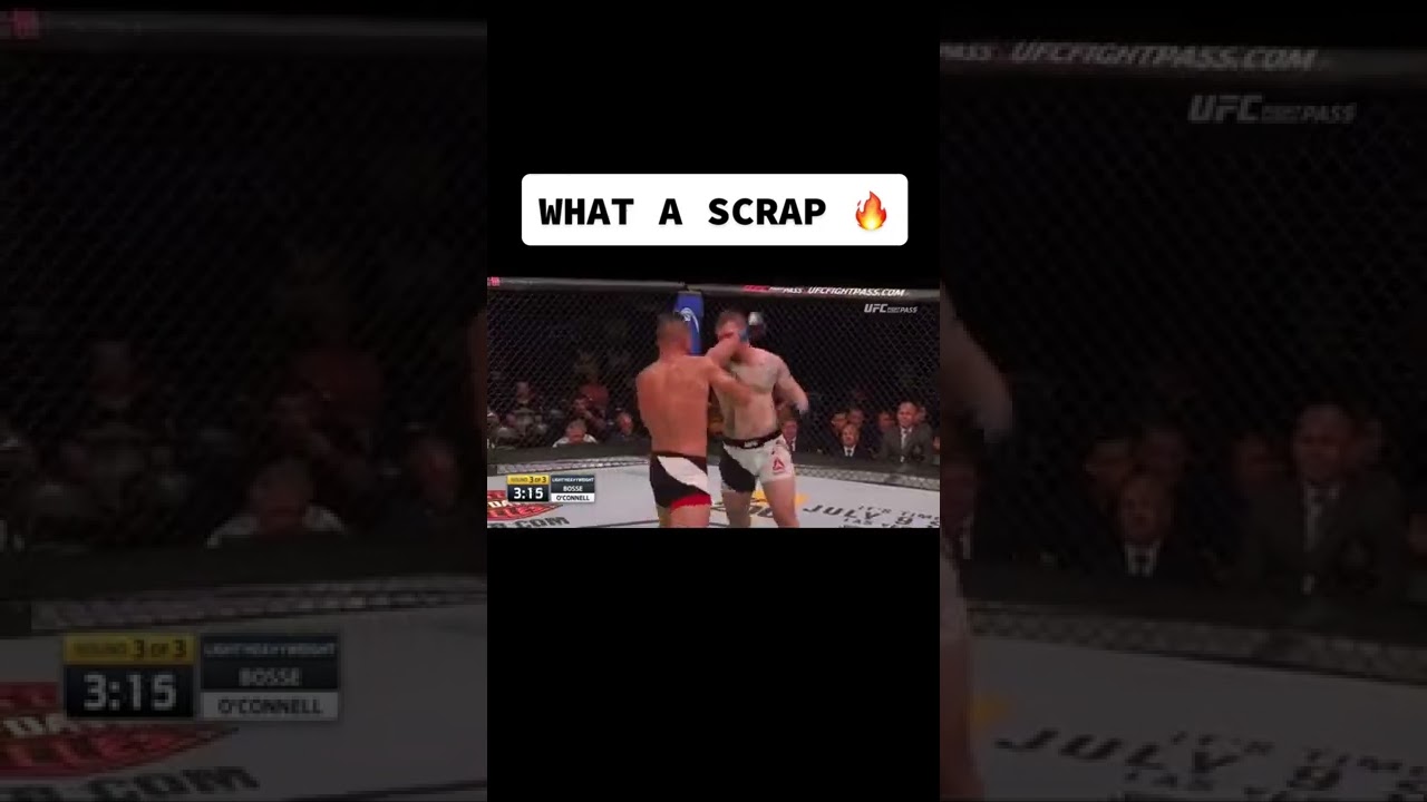 One of my favorite scraps #fight #shorts #mma #ufc #sports #sportsman # ...