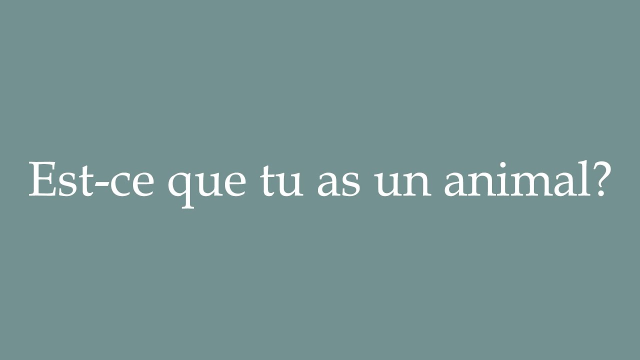 How To Pronounce Est ce Que Tu As Un Animal Do You Have A Pet how-to-pronounce-est-ce-que-tu-as-un-animal-do-you-have-a-pet