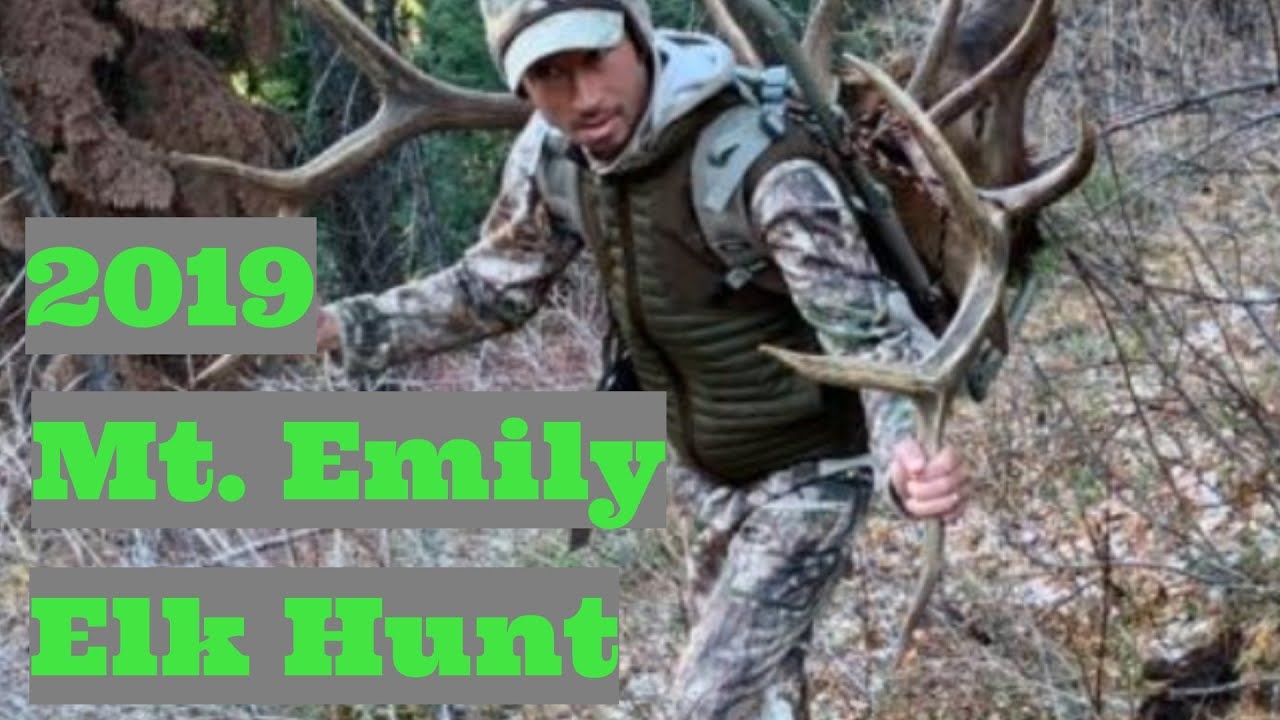 2019 Mt Emily Elk Hunt - YouTube