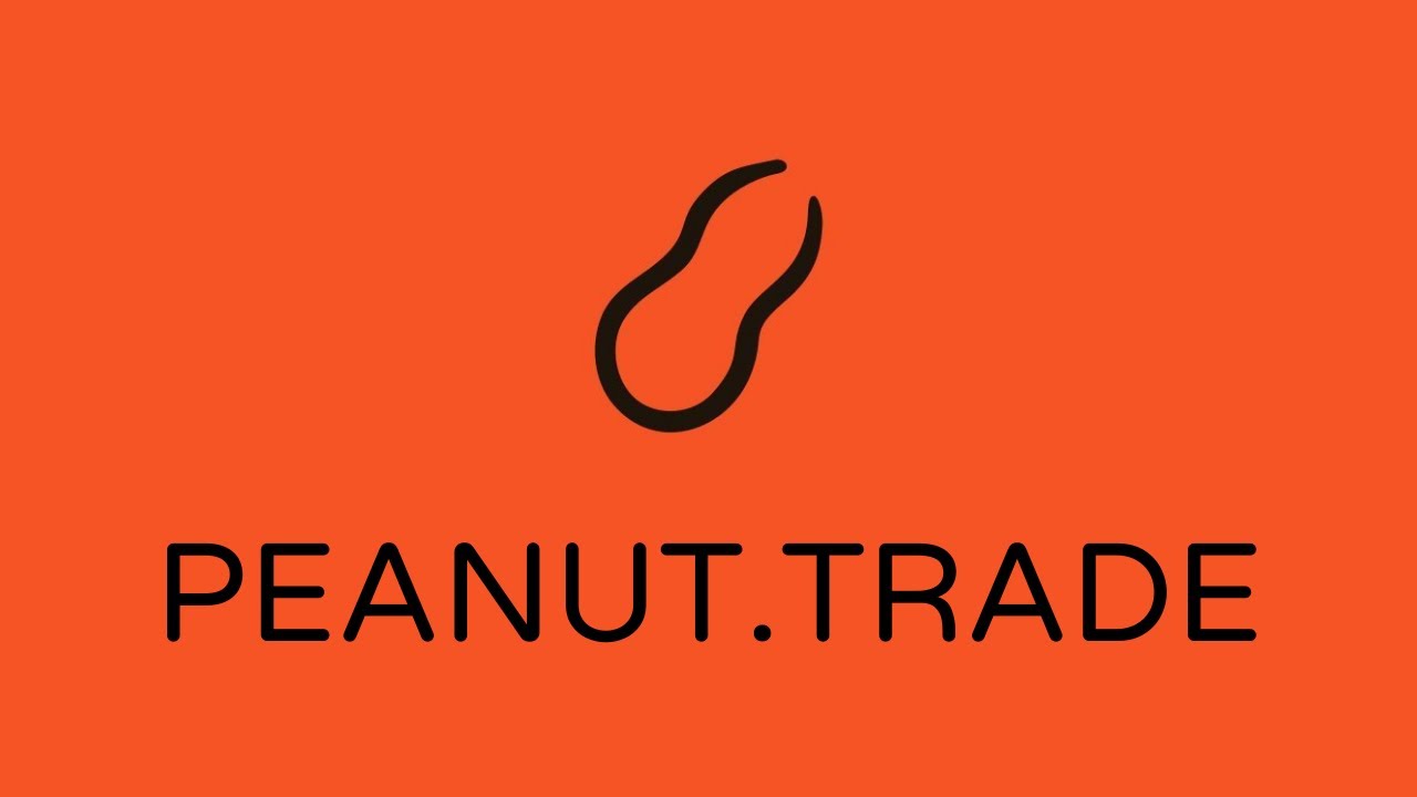 PEANUT TRADE Project Review || Maximize Profits, Minimize Slippage ...