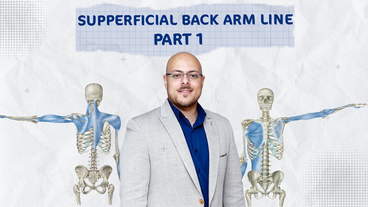 Unlocking the Secrets of the Body's Anatomy Train: Superficial Back Arm ...