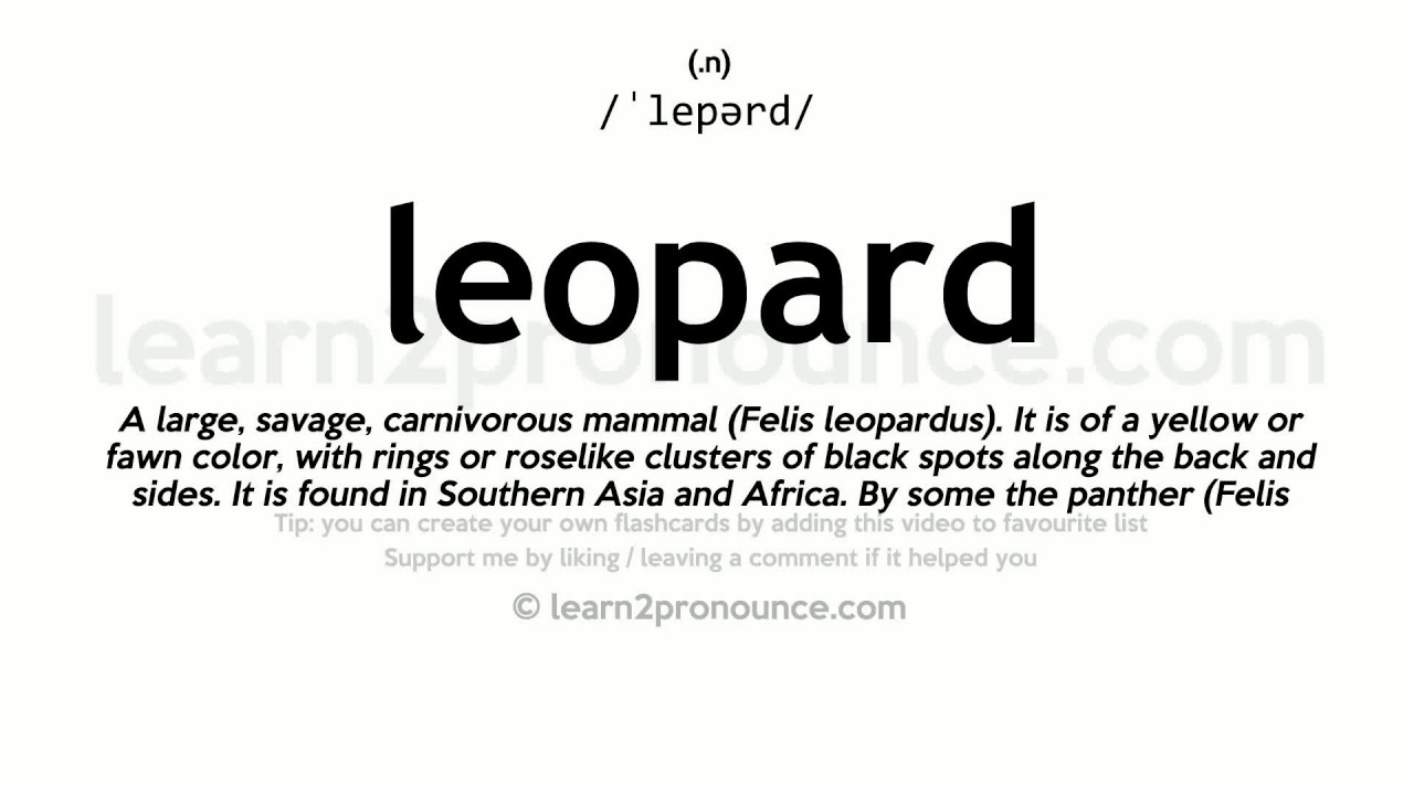 Pronunciation Of Leopard Definition Of Leopard YouTube pronunciation-of-leopard-definition-of-leopard-youtube