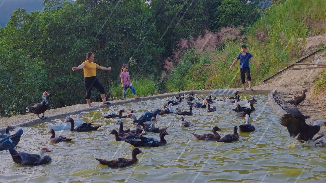 The process of 720 days building a farm in the forest, Digging a pond ...