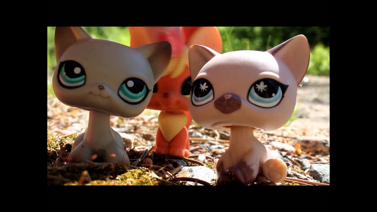 LPS - Crazy Summer [part 3] Serkkuko? Komistus ja yllätys. - YouTube