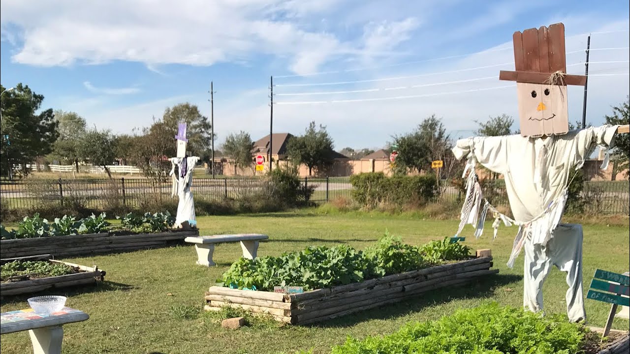 A School Garden Tour at Swenke Elementary Garden April 2020! 💚 - YouTube