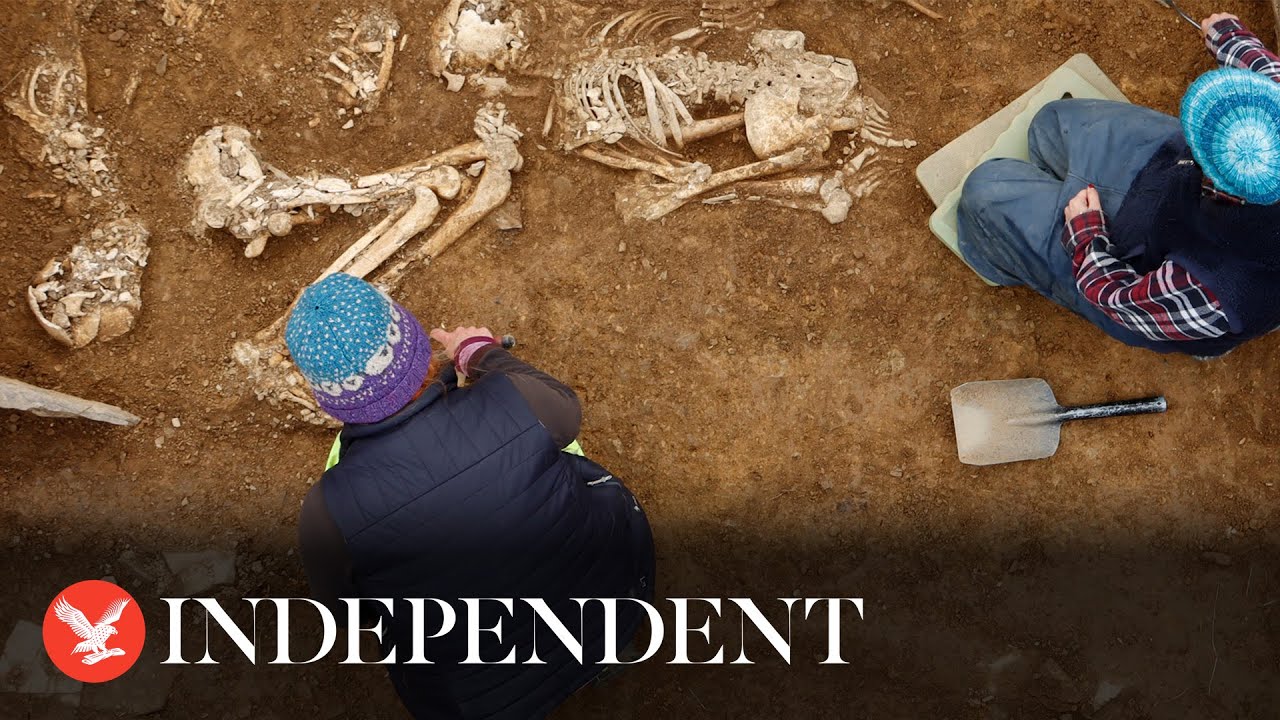 'Incredibly rare' skeletons discovered in 5,000 year old tomb off coast ...
