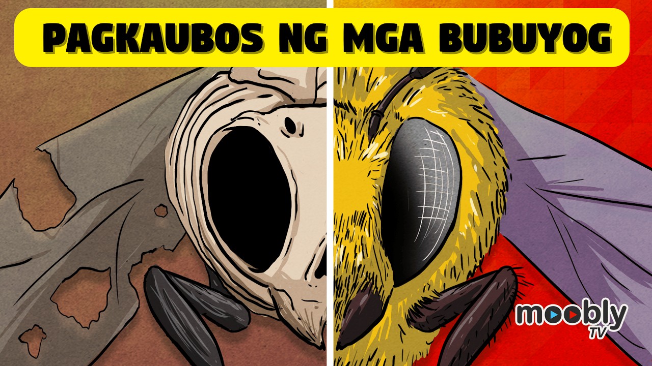 Bakit Nauubos Na Ang Mga Bubuyog Sa Mundo, At Anong Epekto Nito Sa Atin ...