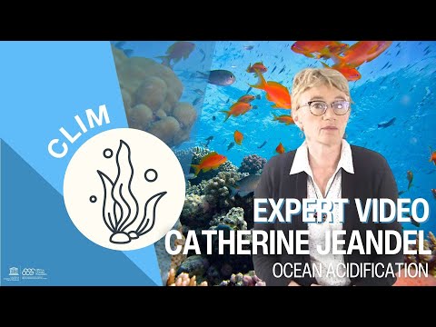 L'Acidification des Océans expliquée par l'Océanographe Catherine Jeandel | CLIM