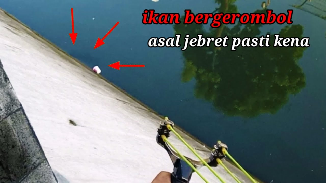 SARANG IKAN NILA | ASAL JEBRET PASTI KENA | Slingshot Fishing |Ketapel ...