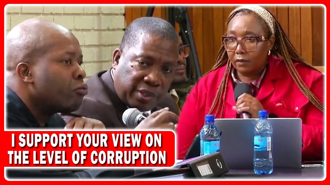 EFF Mente grilling Premier Lesufi "The Only Way Out Of Corruption Is To Insource All The ...