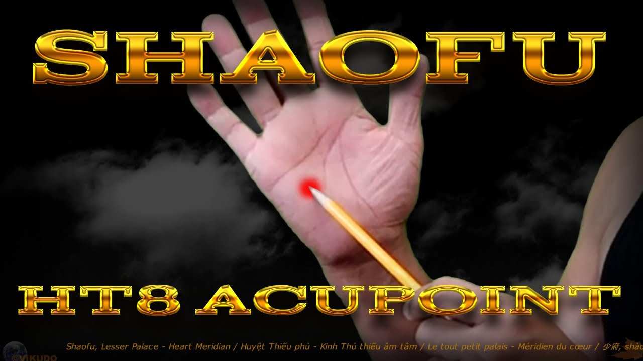 HT8 | Shaofu Acupoint | Lesser Palace Acupoint | Heart Meridian ...