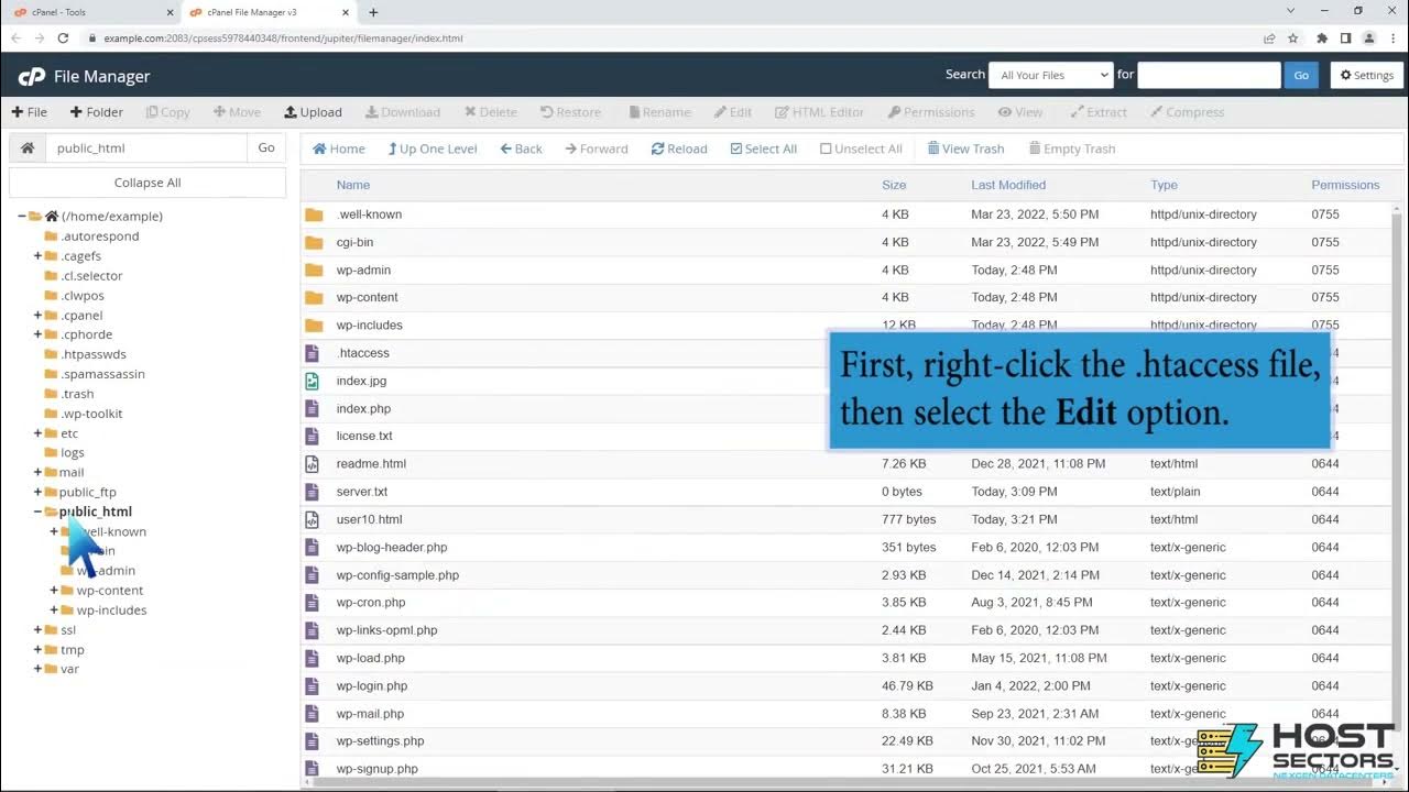 How to edit htHypertext access file through cPanel File manager with HostSectors - YouTube