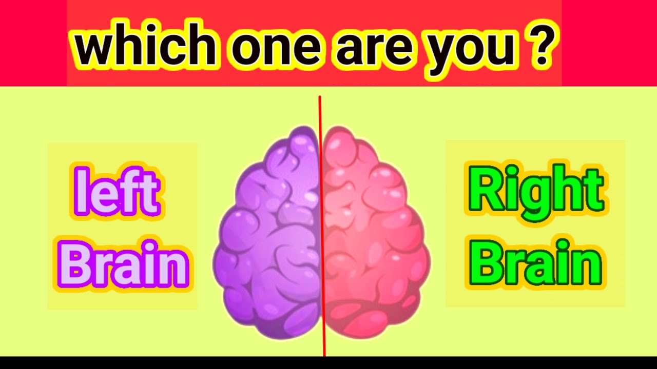 Are you right or left brain Dominance? Personality Test - YouTube