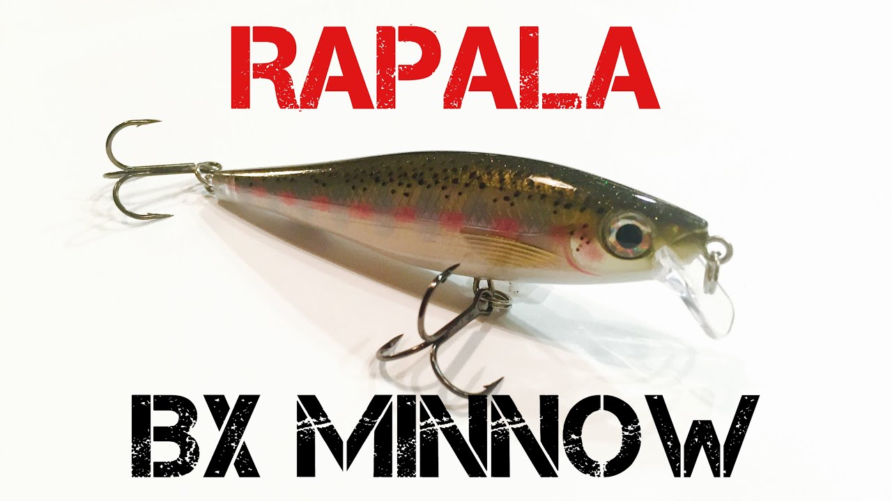 Lure Review- Rapala BX Minnow - YouTube