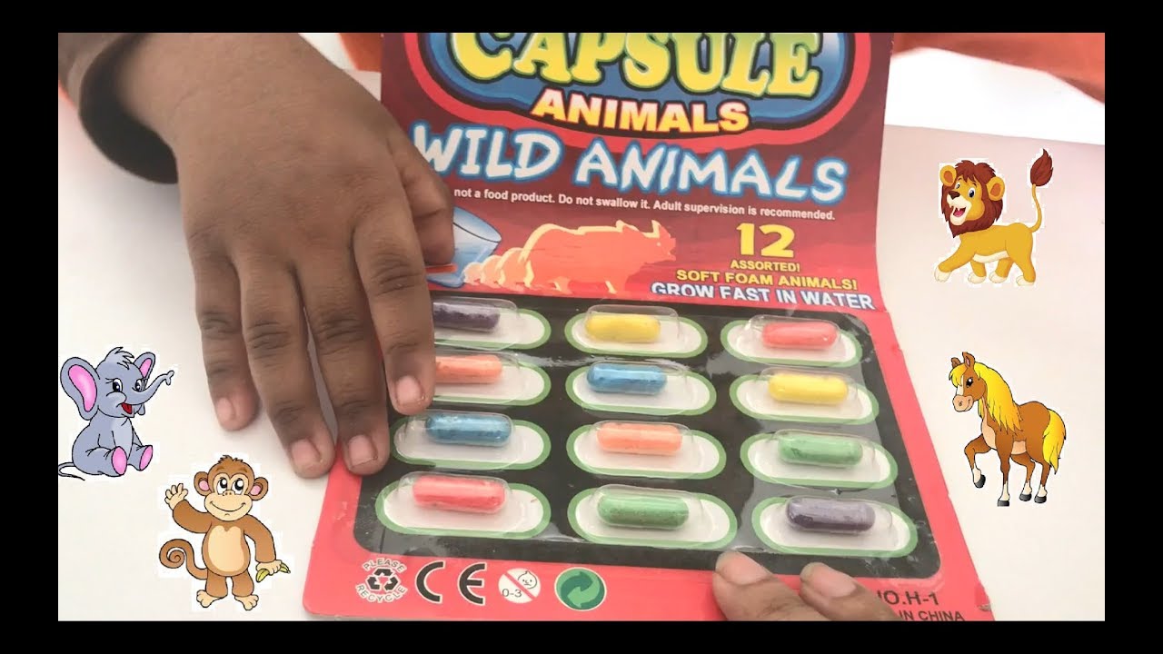 Surprise Capsule Animals! Watch Capsules transform into foam animals ...