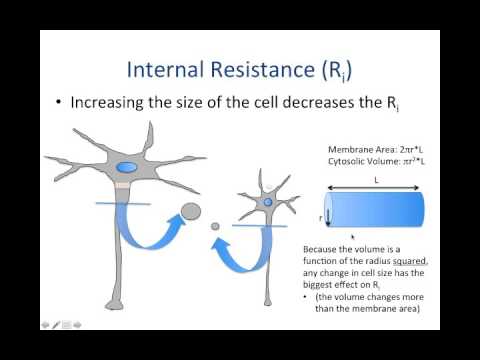 Cable Properties - YouTube