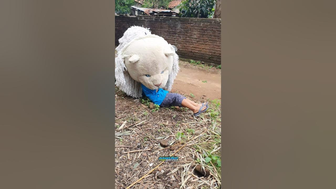 Detik-detik bocil dimakan can macanan - YouTube