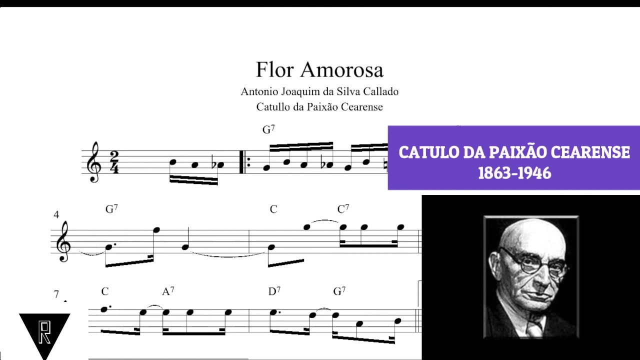 RESUMO DA OBRA - FLOR AMOROSA (análise) - YouTube