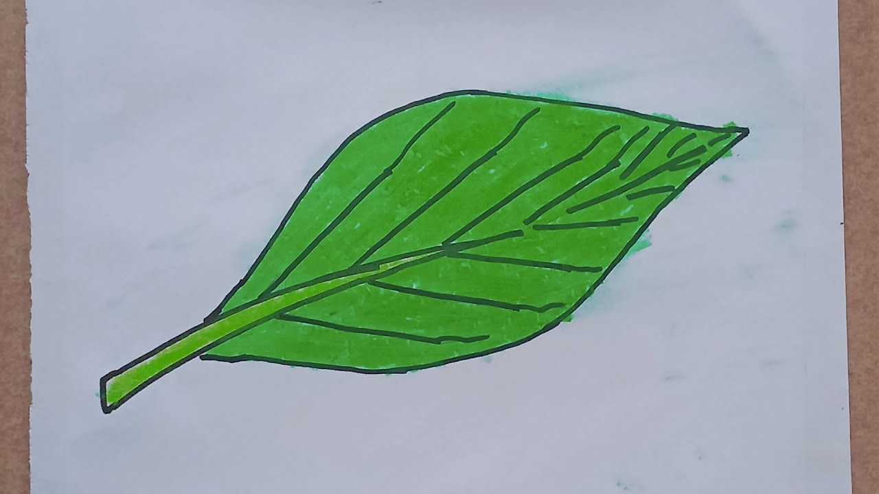 Leaf : how to draw and colour ll creative art for kids 🌿🌿🌿🌿🌿 with oil ...