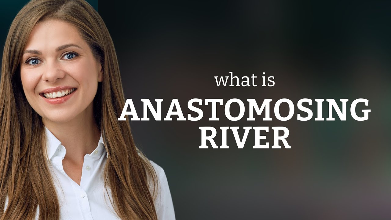 Unraveling the Mysteries of Anastomosing Rivers - YouTube