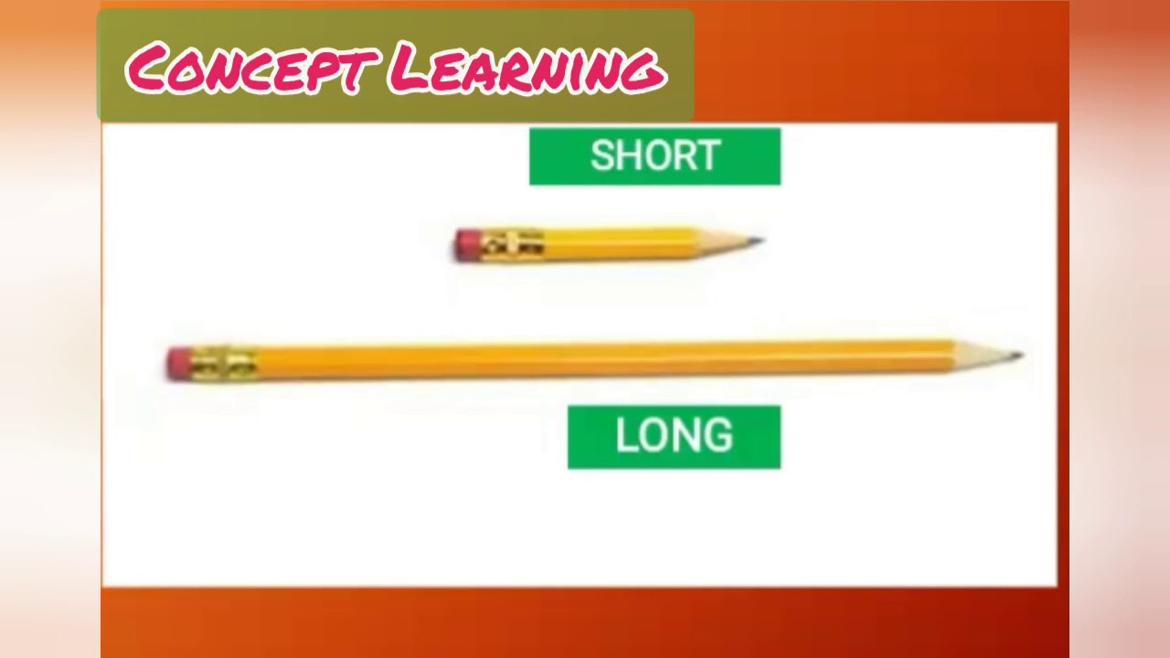 (Jr.Kg) Concept of Long & Short - YouTube