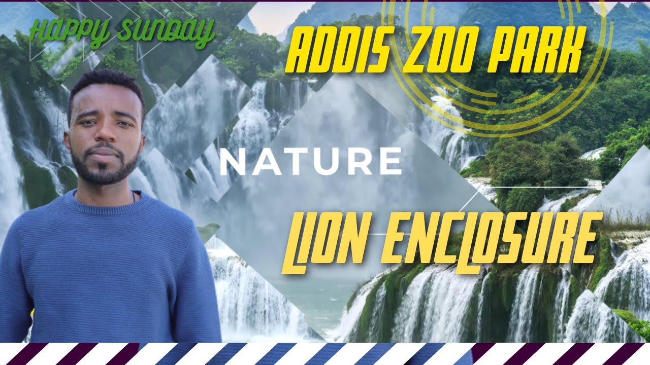 Addis Zoo Park Lion Enclosure || Ethiopia - YouTube