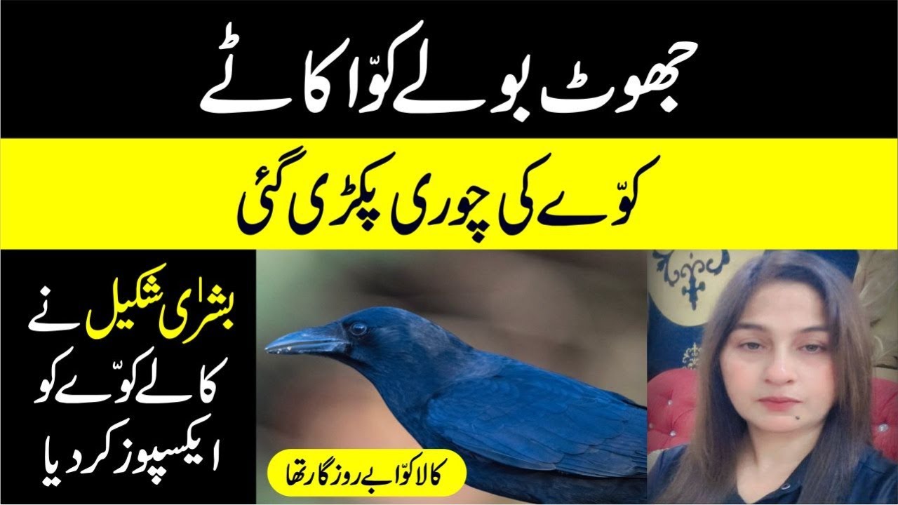 Bushra Shakeel nay kalay kaway ko expose krdia l Bushra Shakeel l - YouTube
