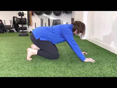 Quadruped Rock Back with Big Toe Extension - YouTube