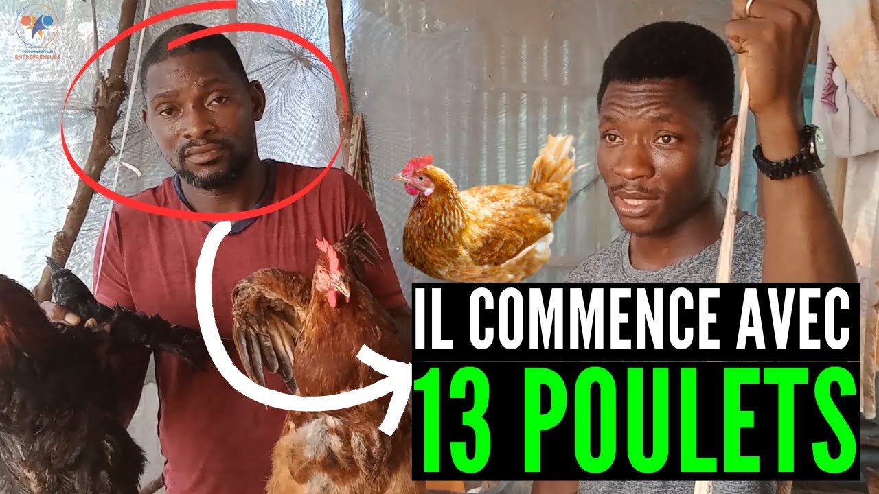 13 POULETS pour OBTENIR 44 poulets REPRODUCTEURS, Après 1an d'élevage ...