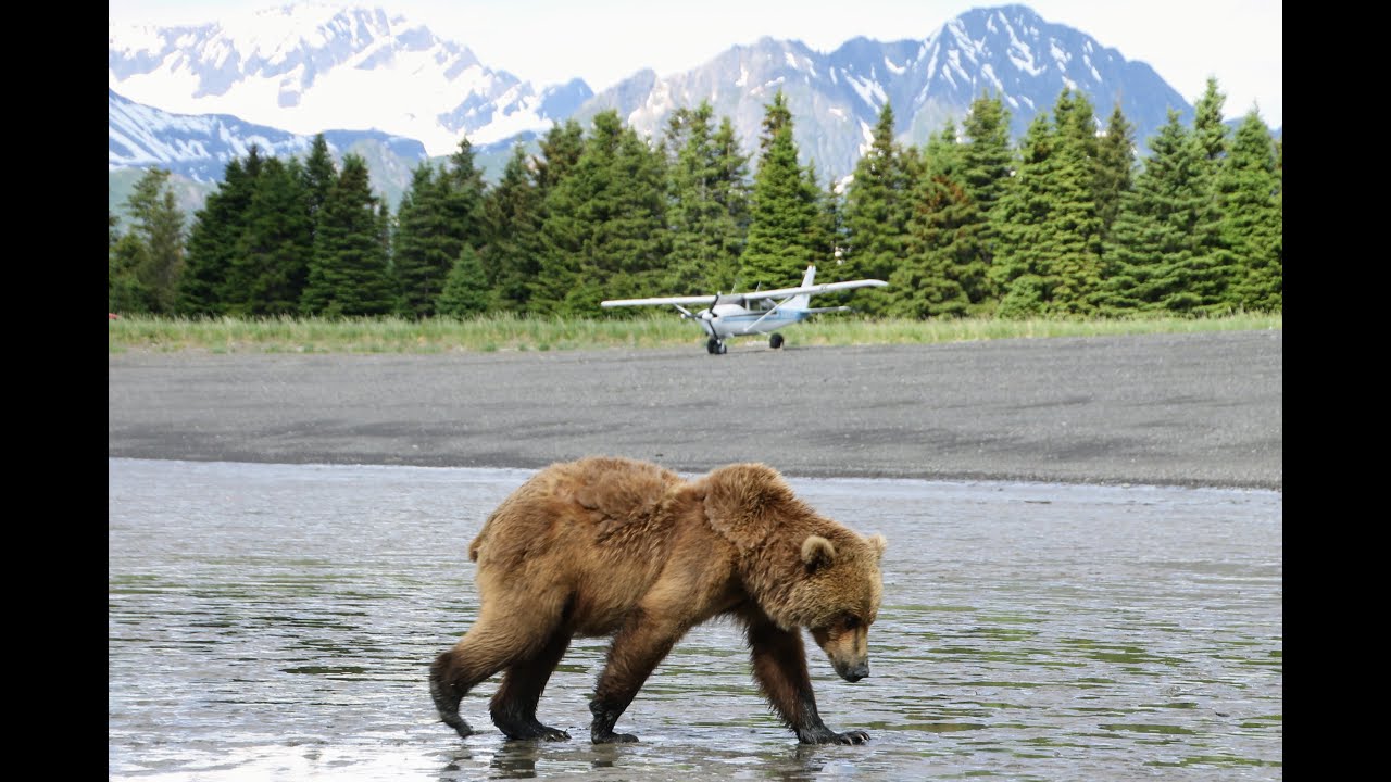 2019 J Bear Tour Highlights - YouTube