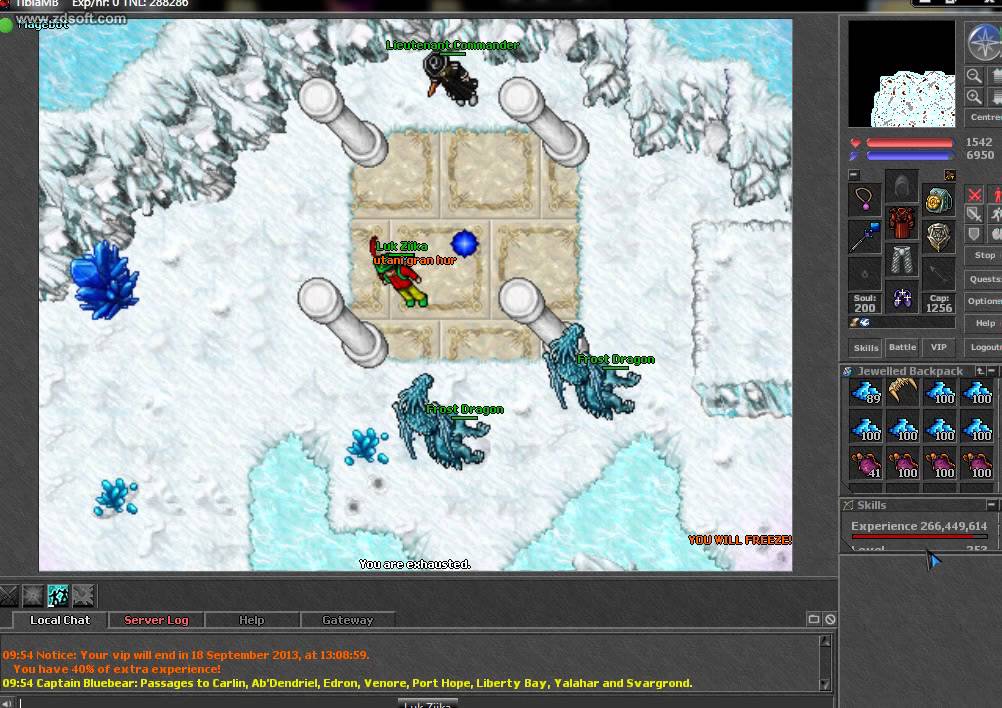 Como Pegar loot Com o mage bot - YouTube