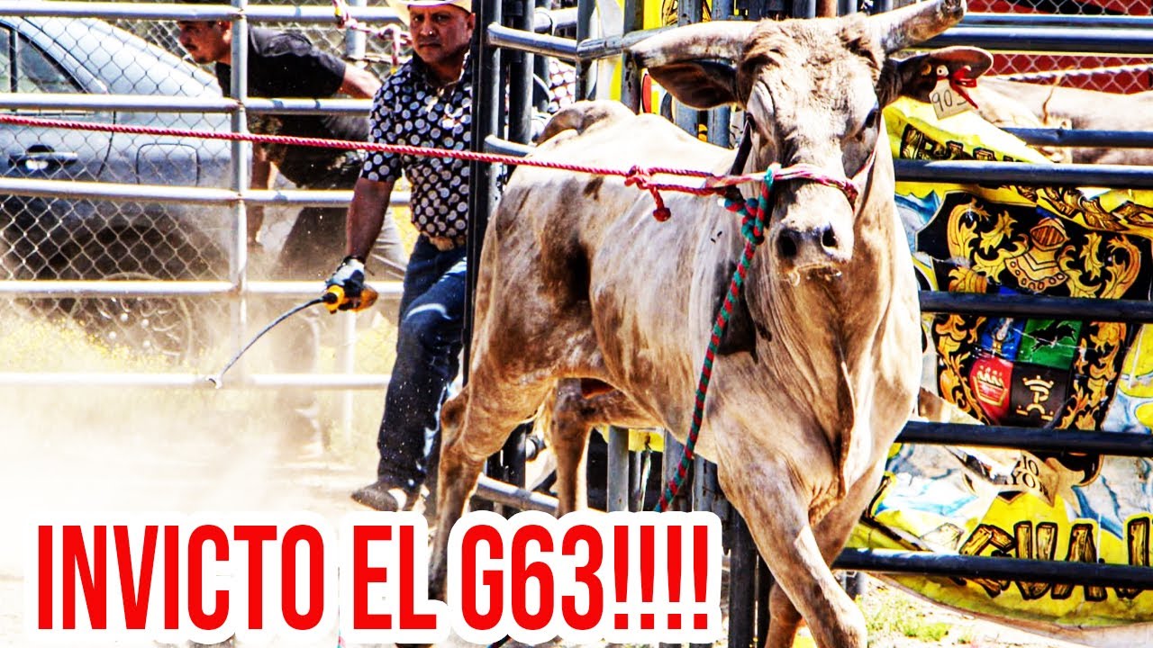 SIGUE INVICTO EL TORO DEL MILLON!!!! Mini Especial De Sus Reparos Del ...