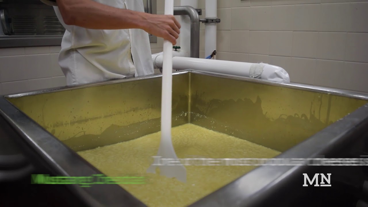 A Look Into The Cal Poly Cheese Making Process Teaser - YouTube