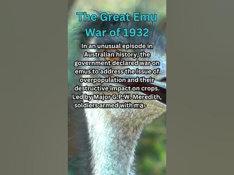 Weird History: The Great Emu War of 1932 - YouTube