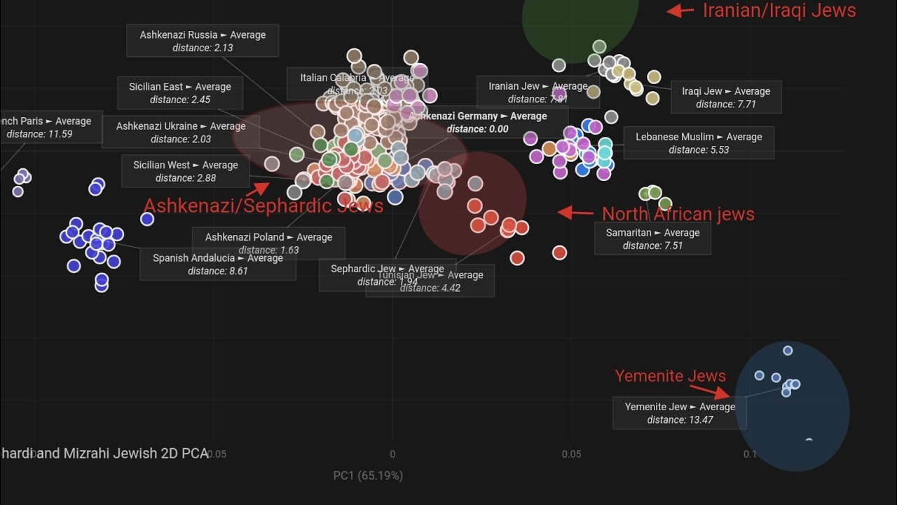 Where do Ashkenazi, Sephardic and Mizrahi Jews plot in PCA? - YouTube