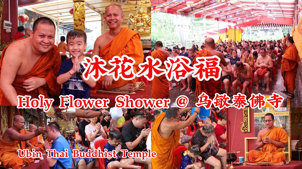 沐花水浴福| Holy Flower Shower @ 乌敏泰佛寺 | Ubin Thai Buddhist Temple | 25/11/2023 - YouTube
