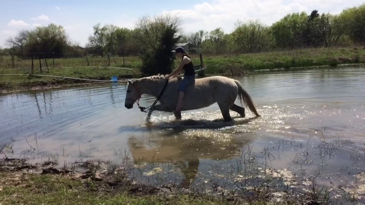Riding my horse in the water - YouTube