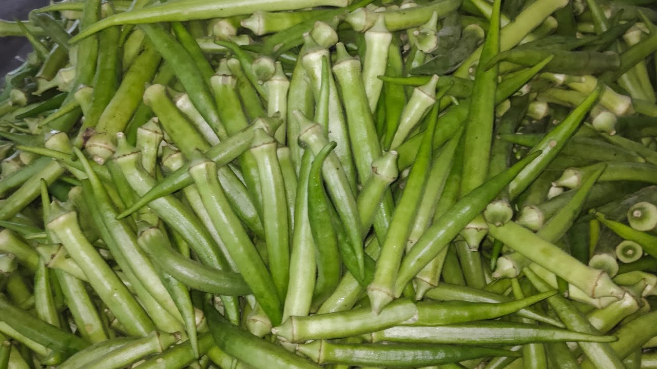 Okra gulay na Masustansya at Puno ng Bitamina - YouTube
