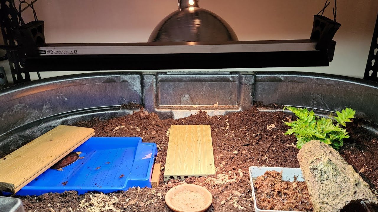 Simple Indoor Box Turtle tub enclosure. - YouTube