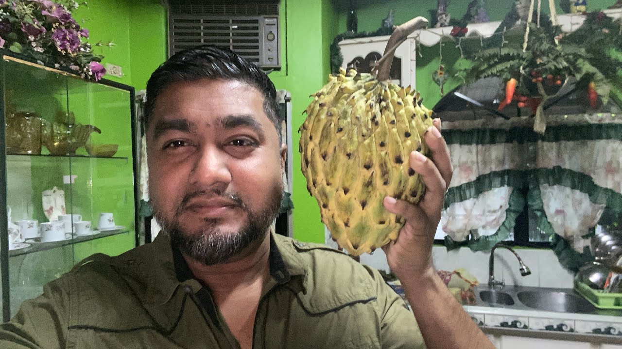 CASHIMA / Wild Sugar apple sampling in Trinidad - YouTube
