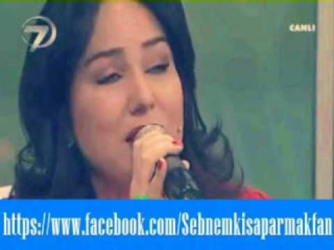 Şebnem Kısaparmak-Melek Annem
